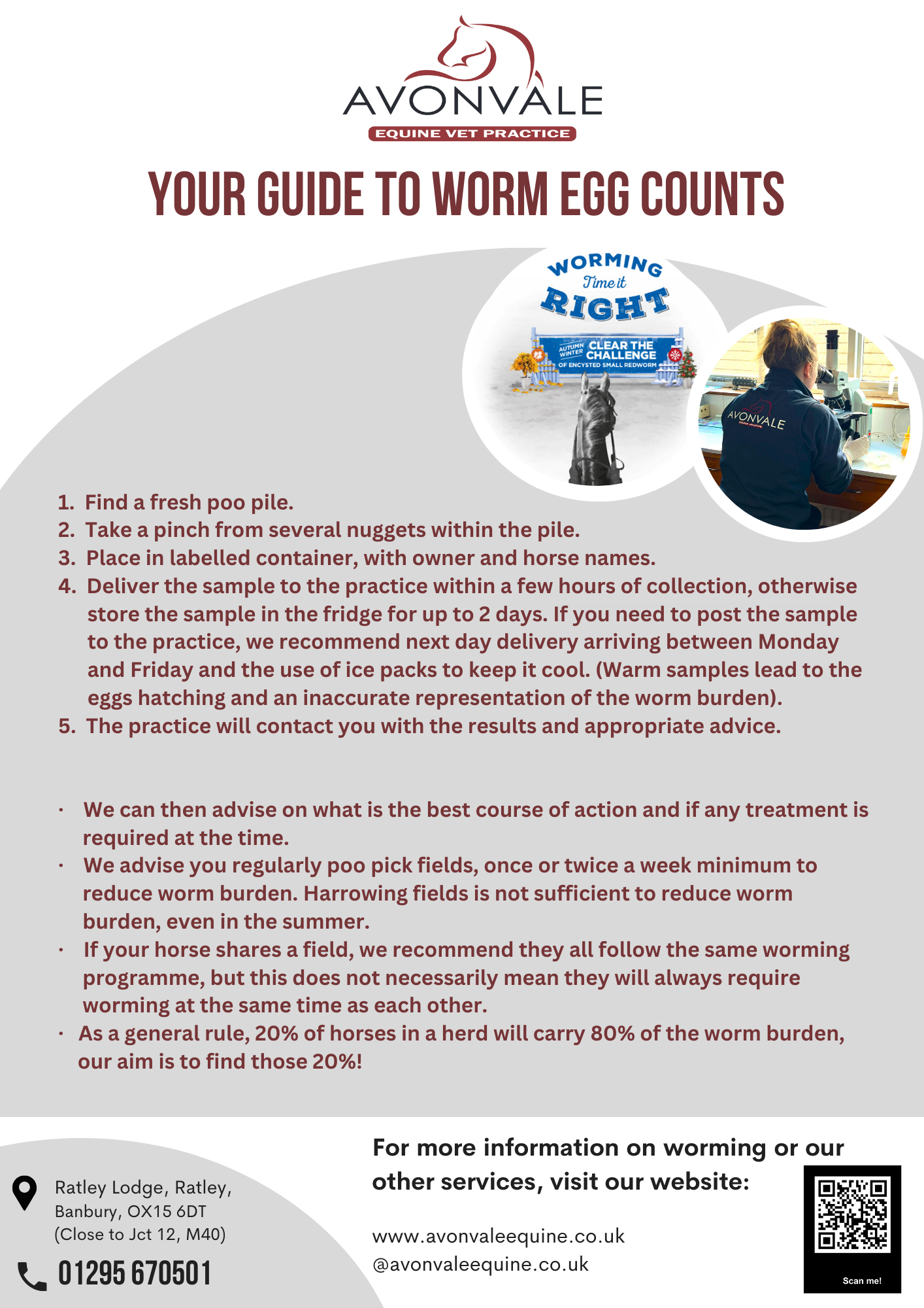 Annual Worming Package | Avonvale Equine Vets